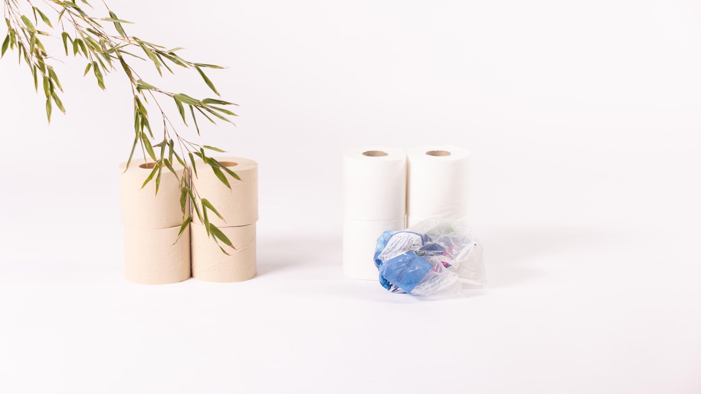 Five ways tissue harms the environment (and how we can do better ...