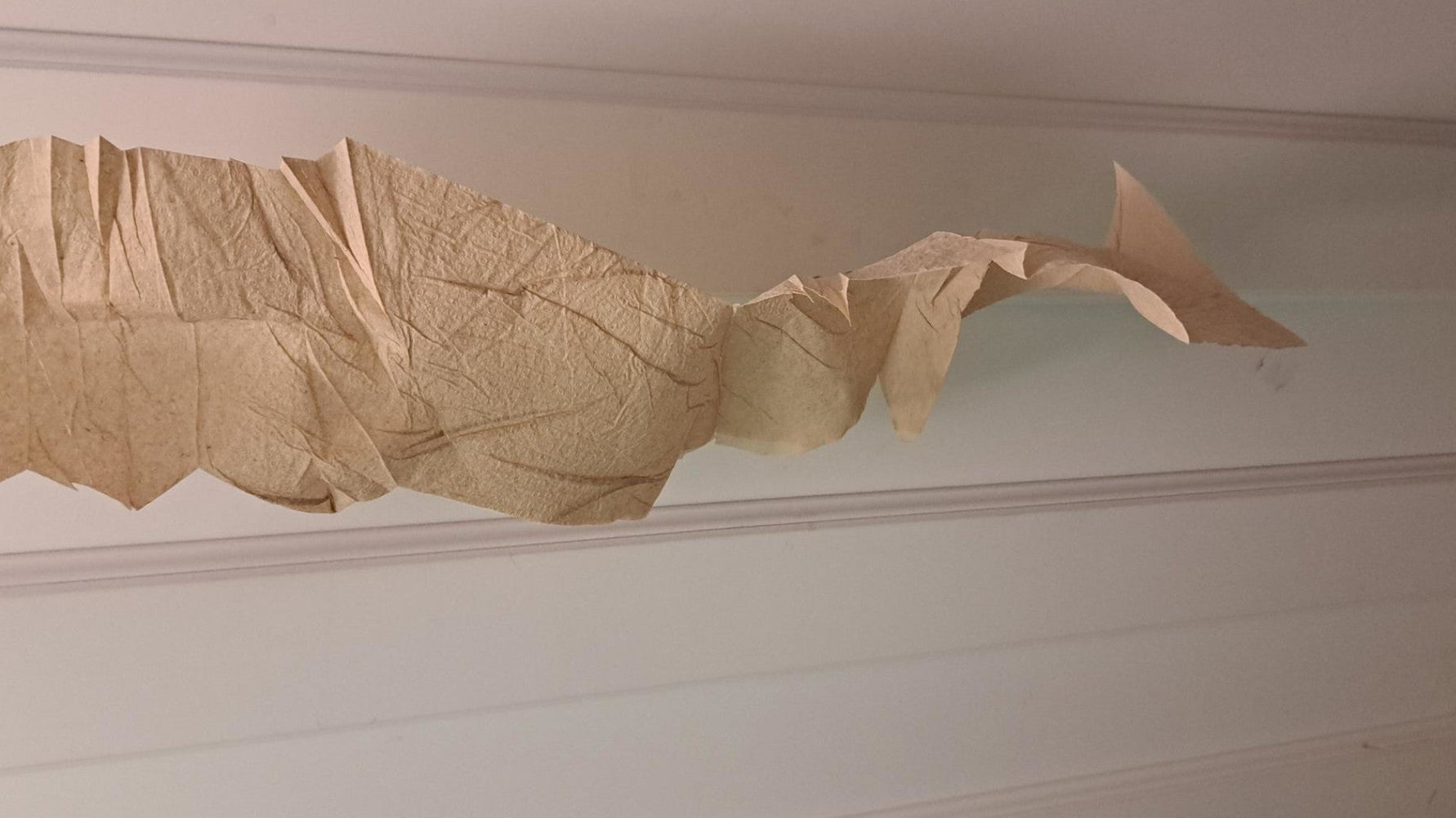 What happened to IZAL toilet paper? | Naked Paper