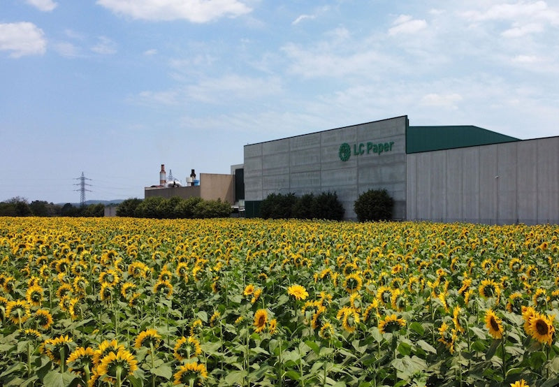 Our Supply Chain | Naked Paper – The UK’s Best Eco Toilet Roll